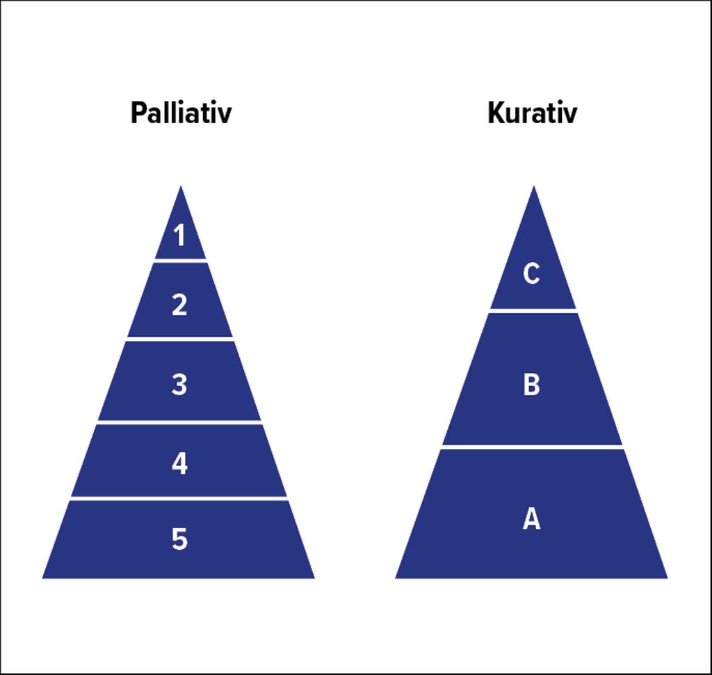 Magnitude of Clinical Benefit Scale in der klinischen Praxis ...