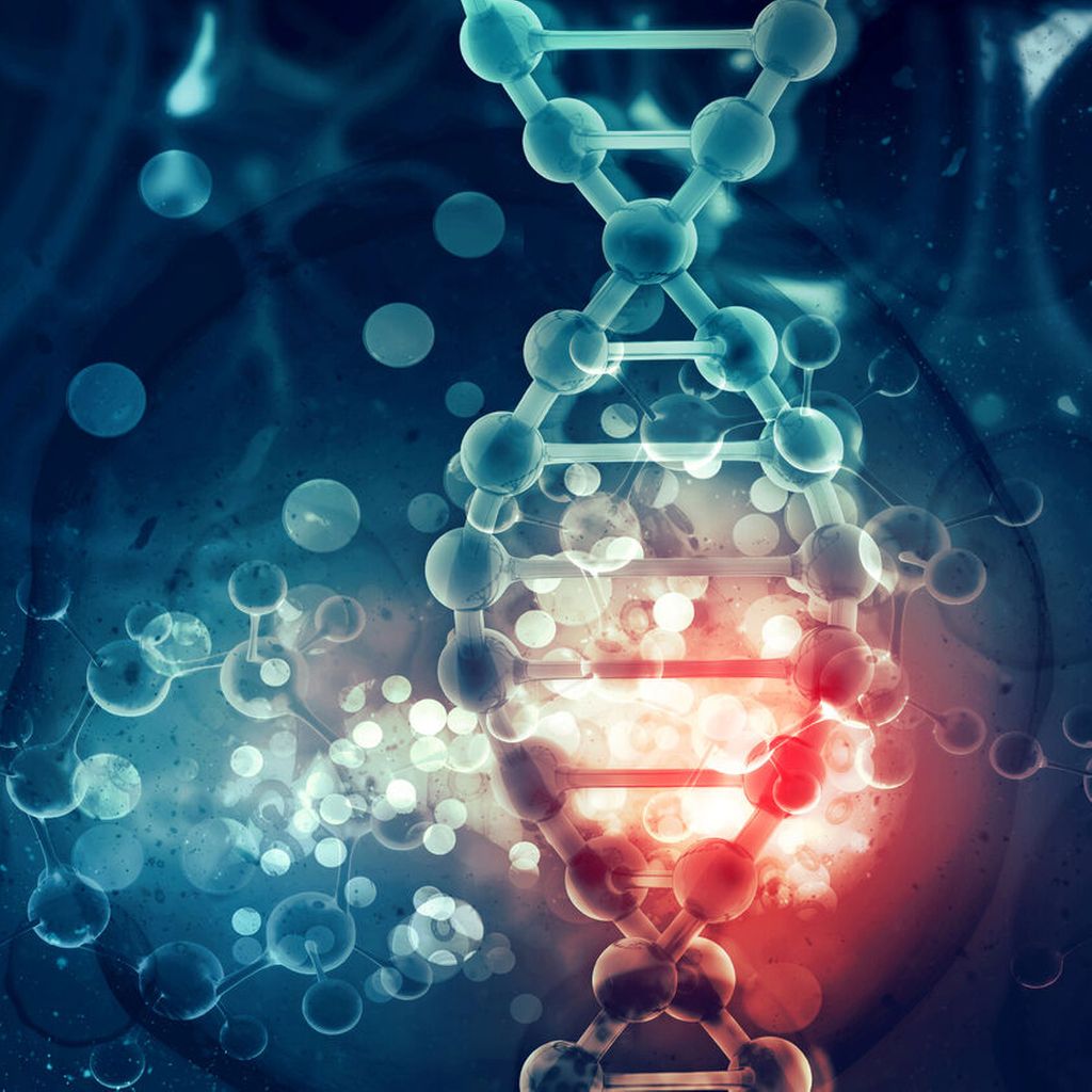 Entwicklung von Mutationen geben unterschiedliche Hinweise auf ...