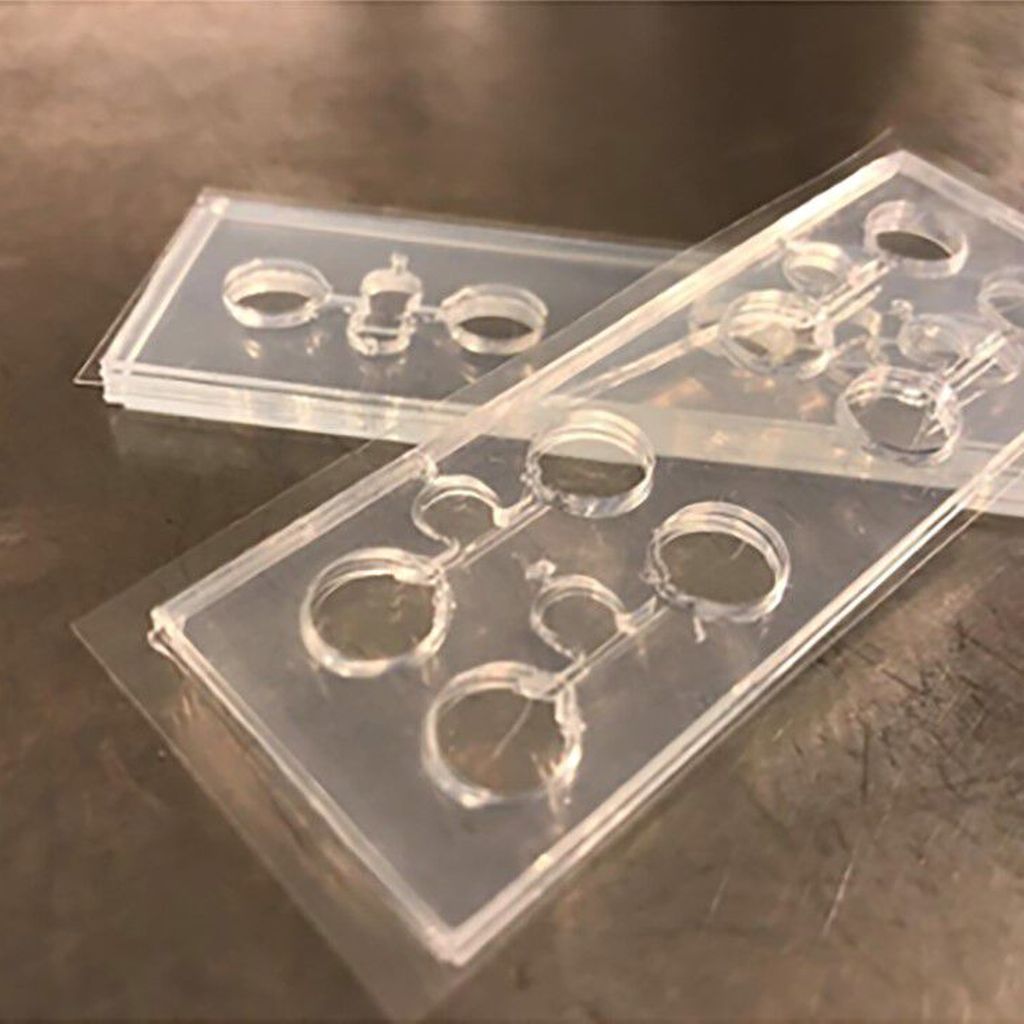 Gelenk-am-Chip als Alternative zu Arthrose-Tiermodellen? - Orthopädie ...