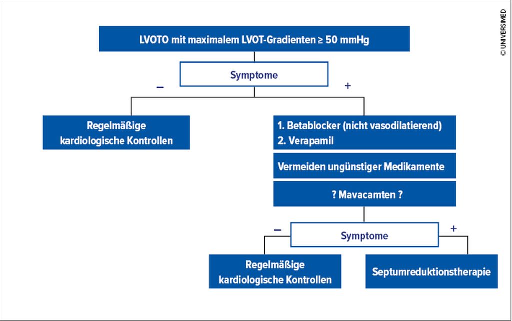 Diagnostik, Komplikationen & Therapie