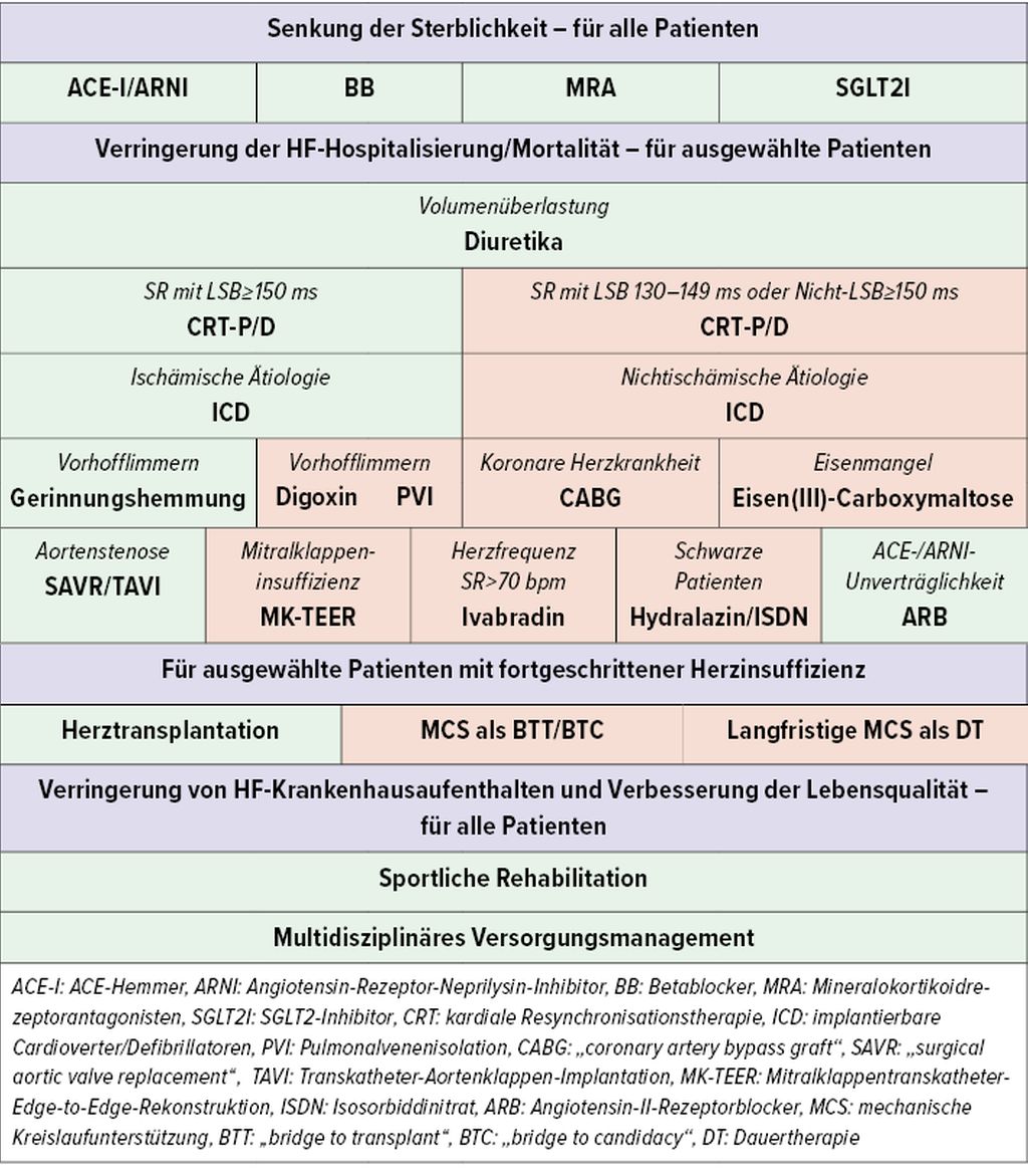 Universimed - Medizin im Fokus