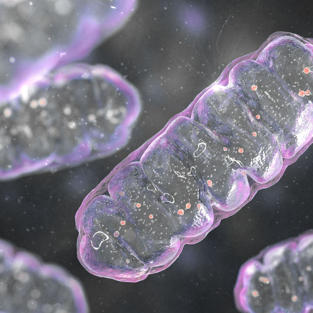 Sheehan-Syndrom als postpartales Risiko - Diabetologie & Endokrinologie ...
