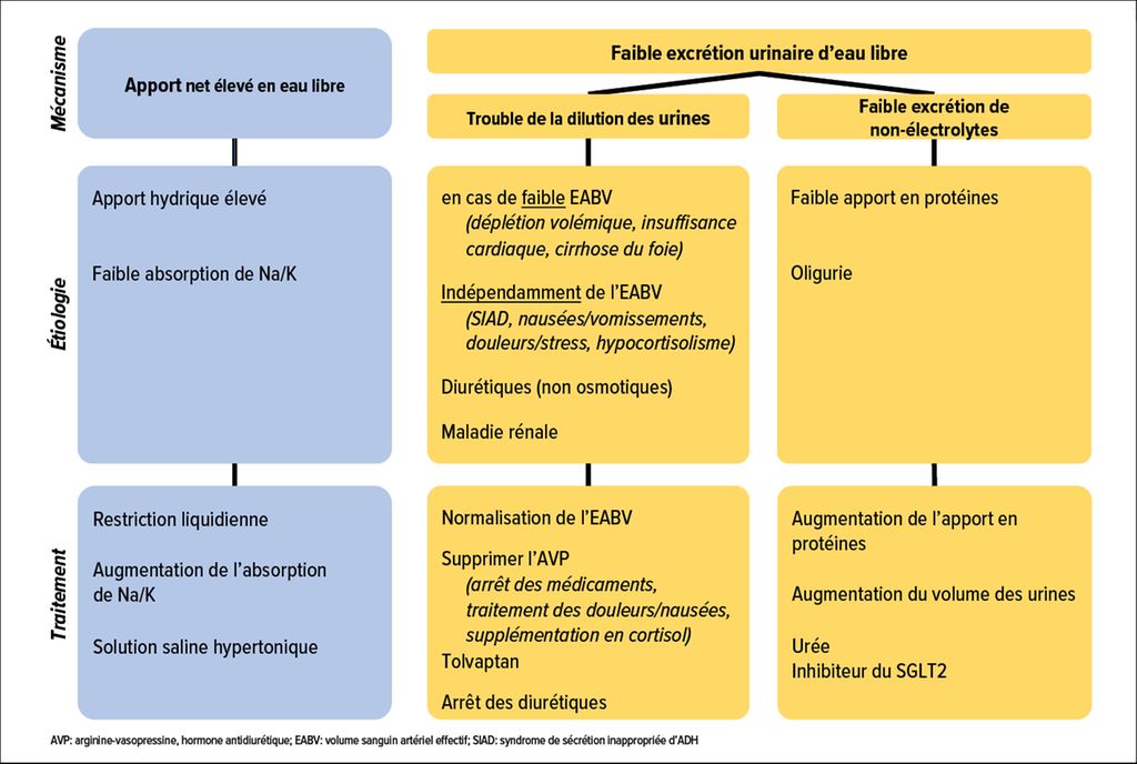 Sortir de l’hyponatrémie en 5 étapes - Contenu en francais ...