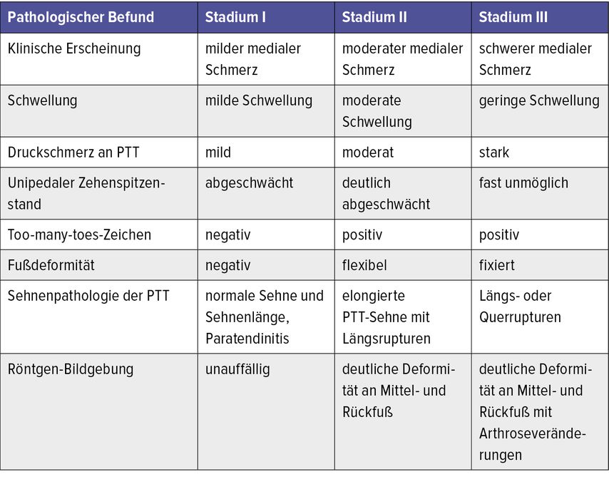 Die Tibialis-posterior-Insuffizienz - Orthopädie & Traumatologie ...