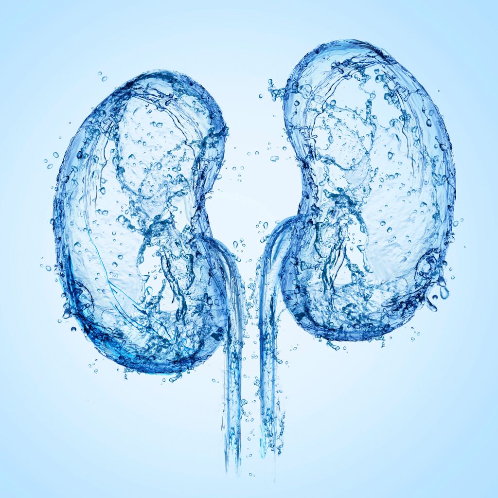 Diuretikatherapie und Diuretikaresistenz - Nephrologie - Universimed ...