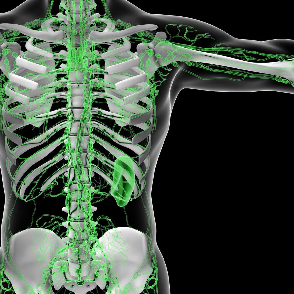 Risikofaktoren für die lymphatische Metastasierung - Onkologie ...