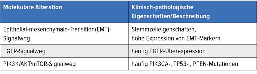 Das metaplastische Mammakarzinom - Onkologie - Universimed - Medizin im ...