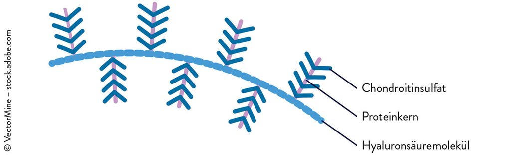 Wertigkeit von Befunden - Allgemeinmedizin - Universimed - Medizin im Fokus