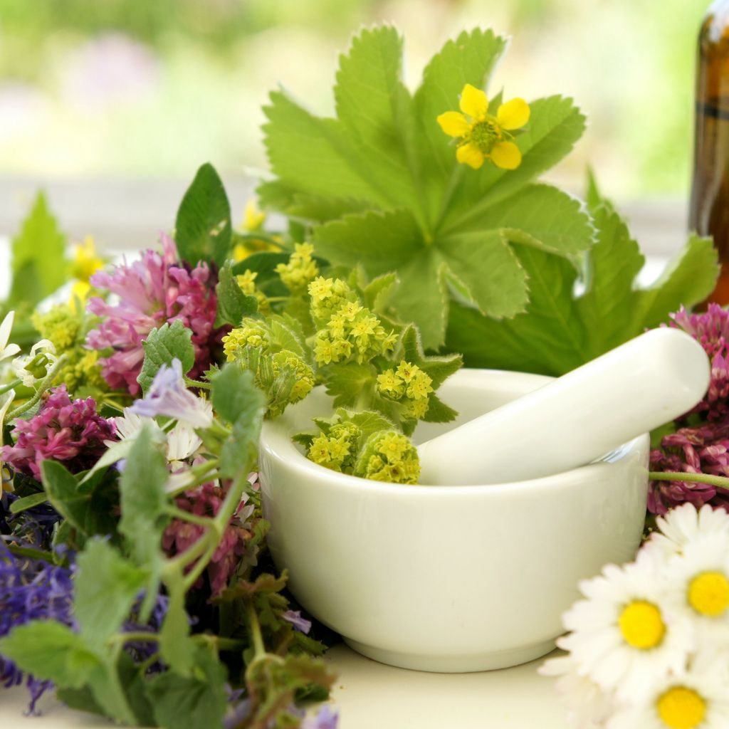 Phytotherapie bei Infekten der oberen Atemwege - Infektiologie ...
