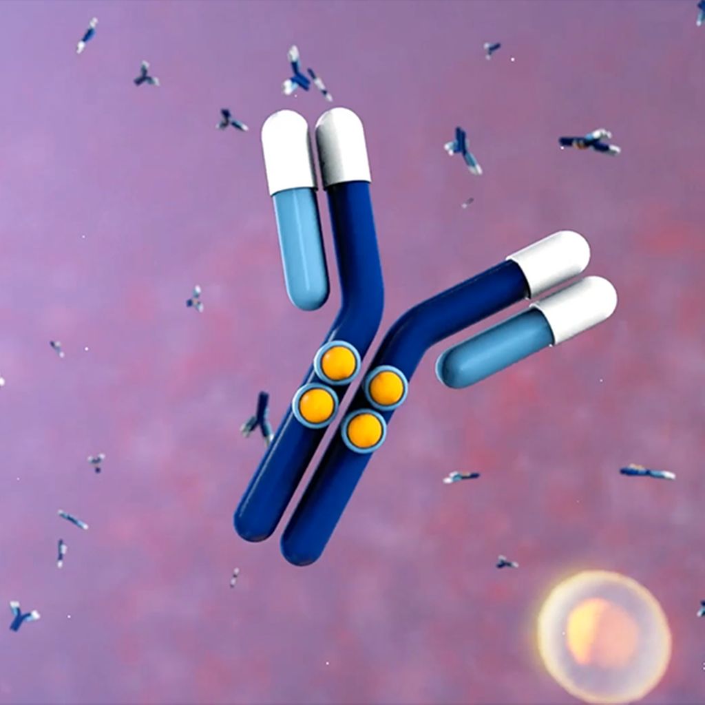 Tafasitamab + Lenalidomid beim r/r DLBCL - Universimed - Knowledge that ...