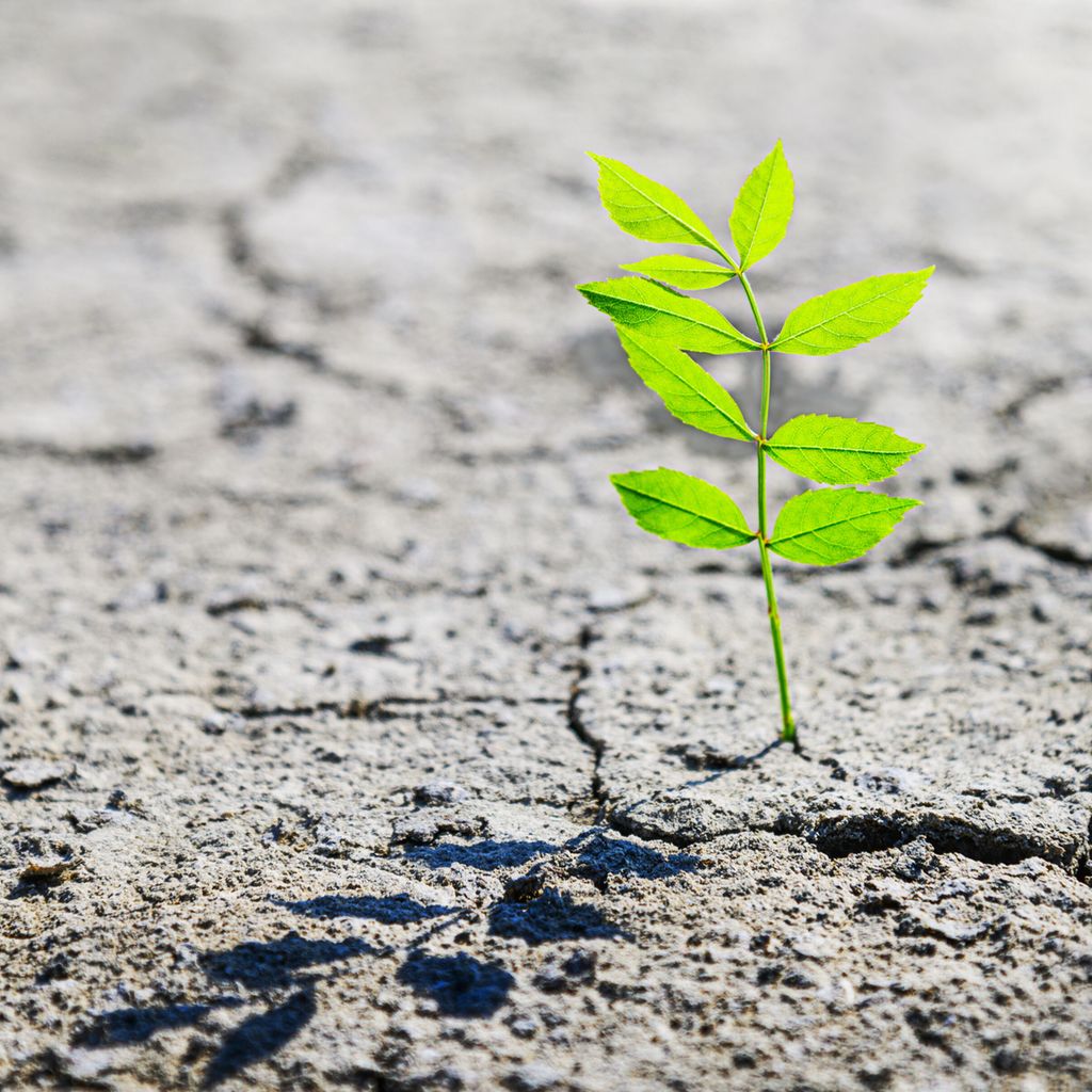 Resilience in people with multiple sclerosis - Neurologie - Universimed ...