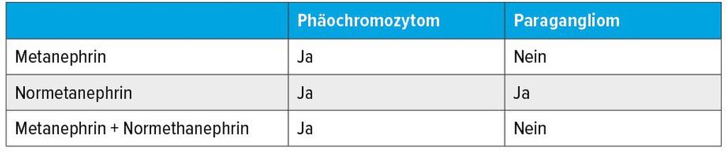 Phäochromozytom, Paragangliom und adrenokortikales Karzinom - Urologie ...
